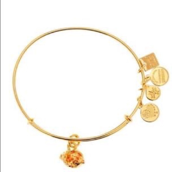 Alex and Ani | Jewelry | Alex And Ani Shiny Gold Hermit Crab Charm Bracelet To Benefit ...